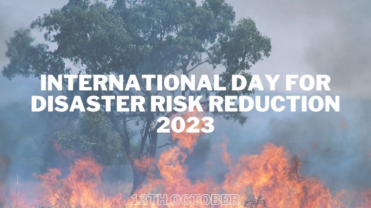 International Day For Disaster Risk Reduction 2023 - Significance For ...