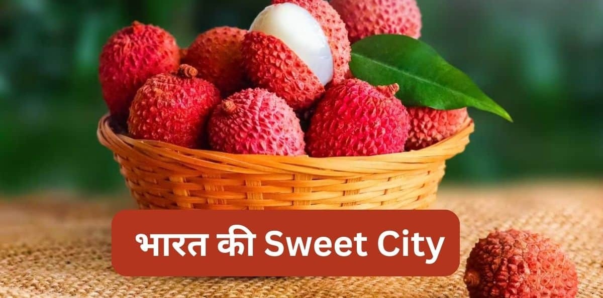 Kolkata Sweets History: The Sweet City Of India | Key Takeaways ...
