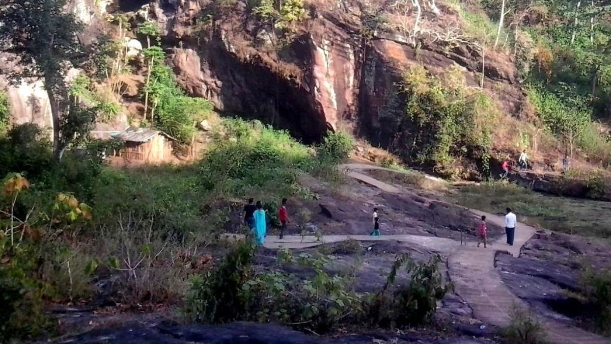 Gupteswar Forest: Odisha's Biodiversity Heritage Site And Its Impact On ...