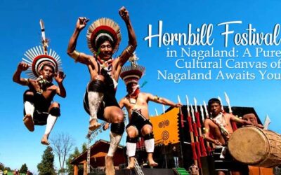 Kaksar Bridge Renamed To Honor Kargil War Hero Capt. Amit Bhardwaj ...