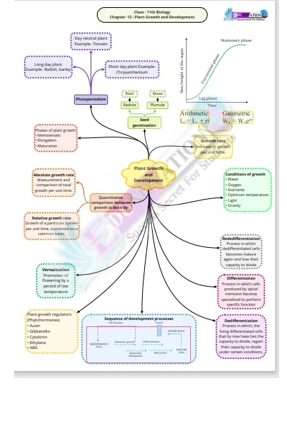 NCERT Class 11th Biology Mind Maps - Edunovations Book store