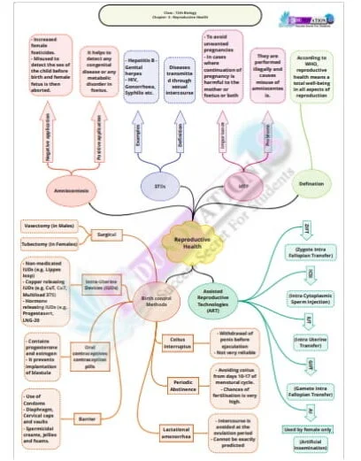 NCERT Class 12th Biology Mind Maps - Edunovations Book store