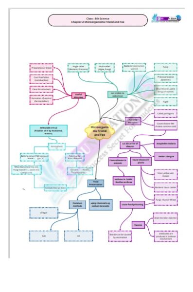 NCERT Mind Maps For Class 8th Science - Edunovations Book store